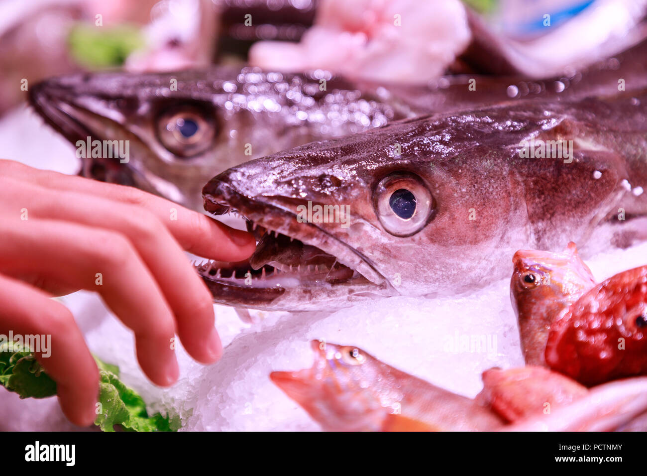 Finger in a fish's mouth that is in a market Stock Photo - Alamy