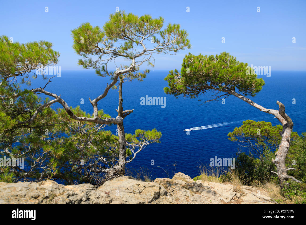 Cliff view through trees hi-res stock photography and images - Alamy