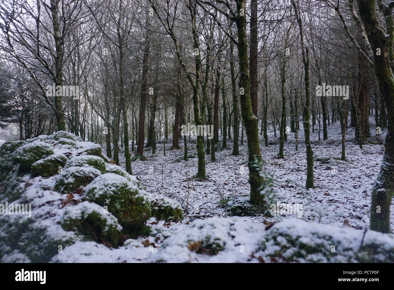 Snow scene ireland hi-res stock photography and images - Alamy