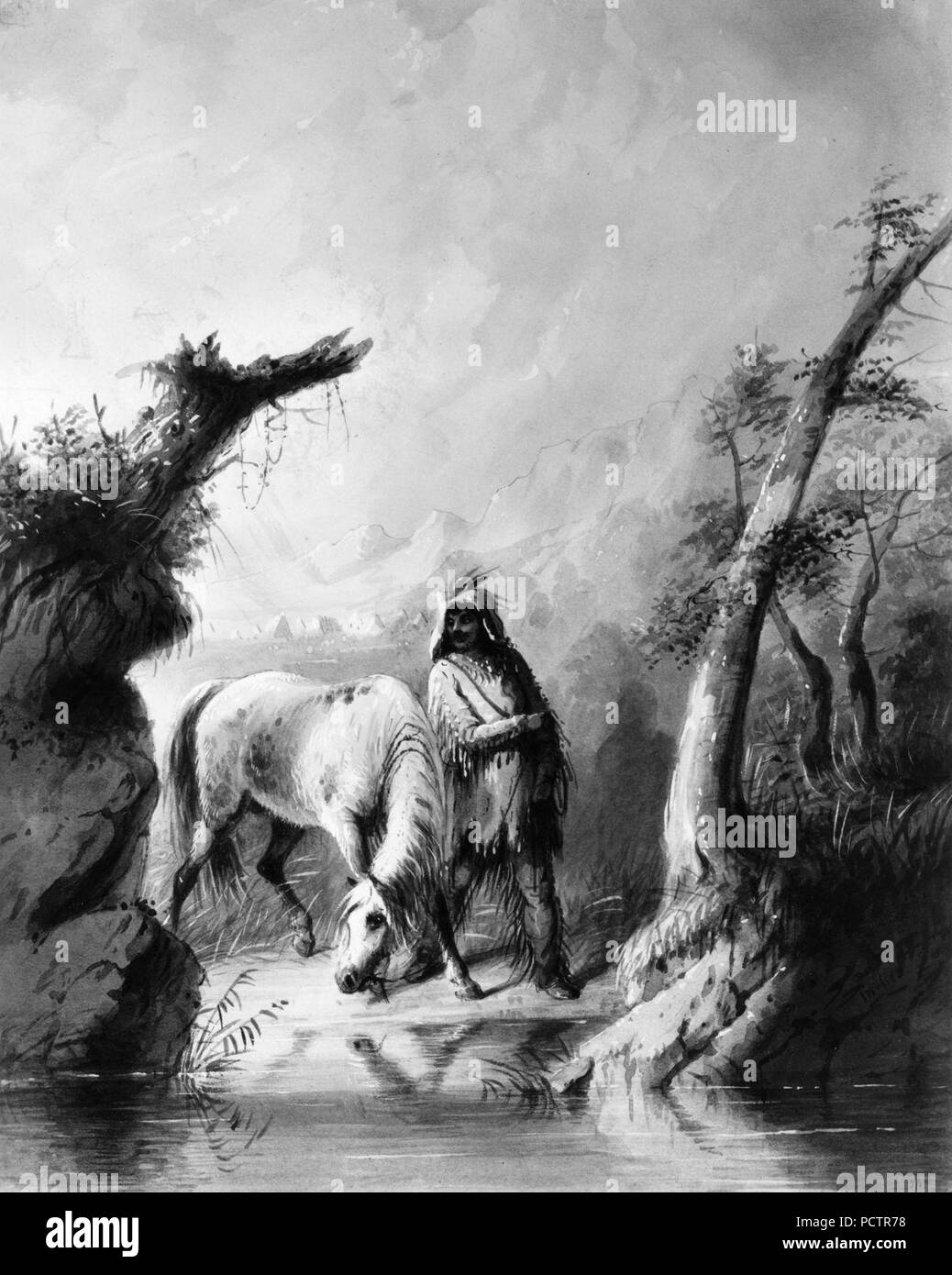 Jacob the horse hi-res stock photography and images - Alamy