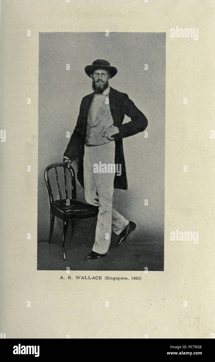 Alfred Russel Wallace Stock Photo - Alamy