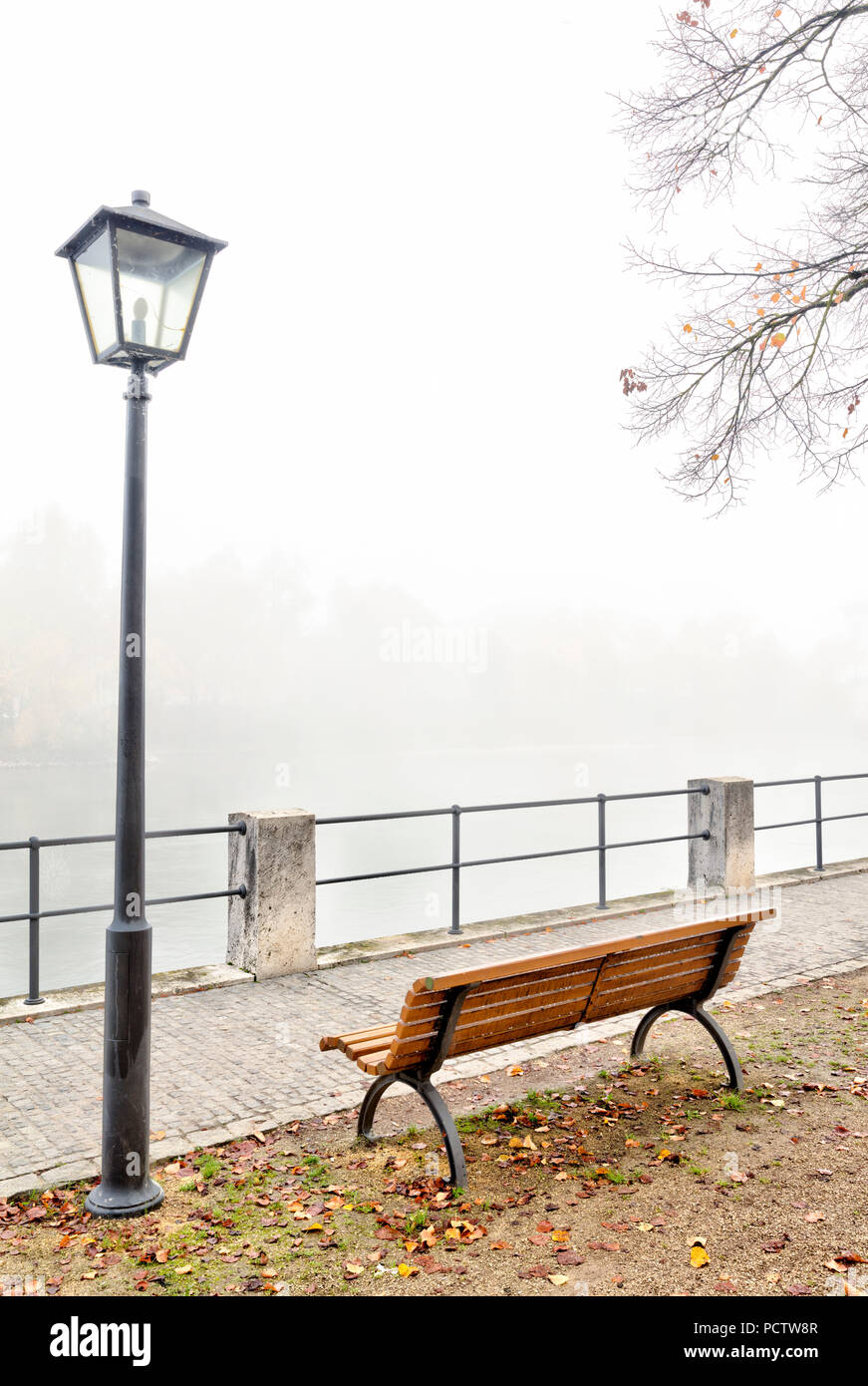 Marc-Aurel-Ufer, autumn, fog, Regensburg, Upper Palatinate, Bavaria ...