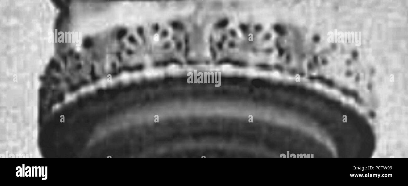 Allahabad pillar hi-res stock photography and images - Alamy