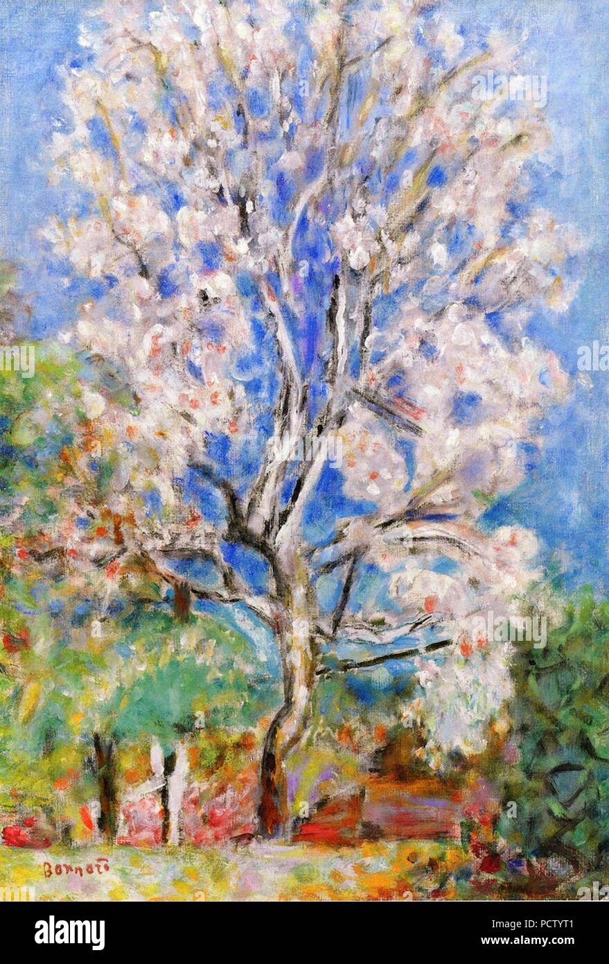 Almond Tree 3 Stock Photo - Alamy