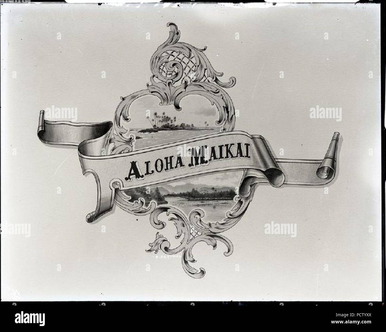 Aloha college hi-res stock photography and images - Alamy