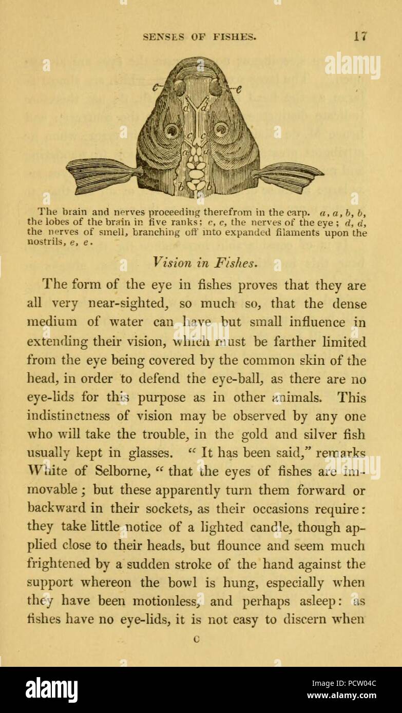 Alphabet of scientific angling for the use of beginners (Page 17 ...