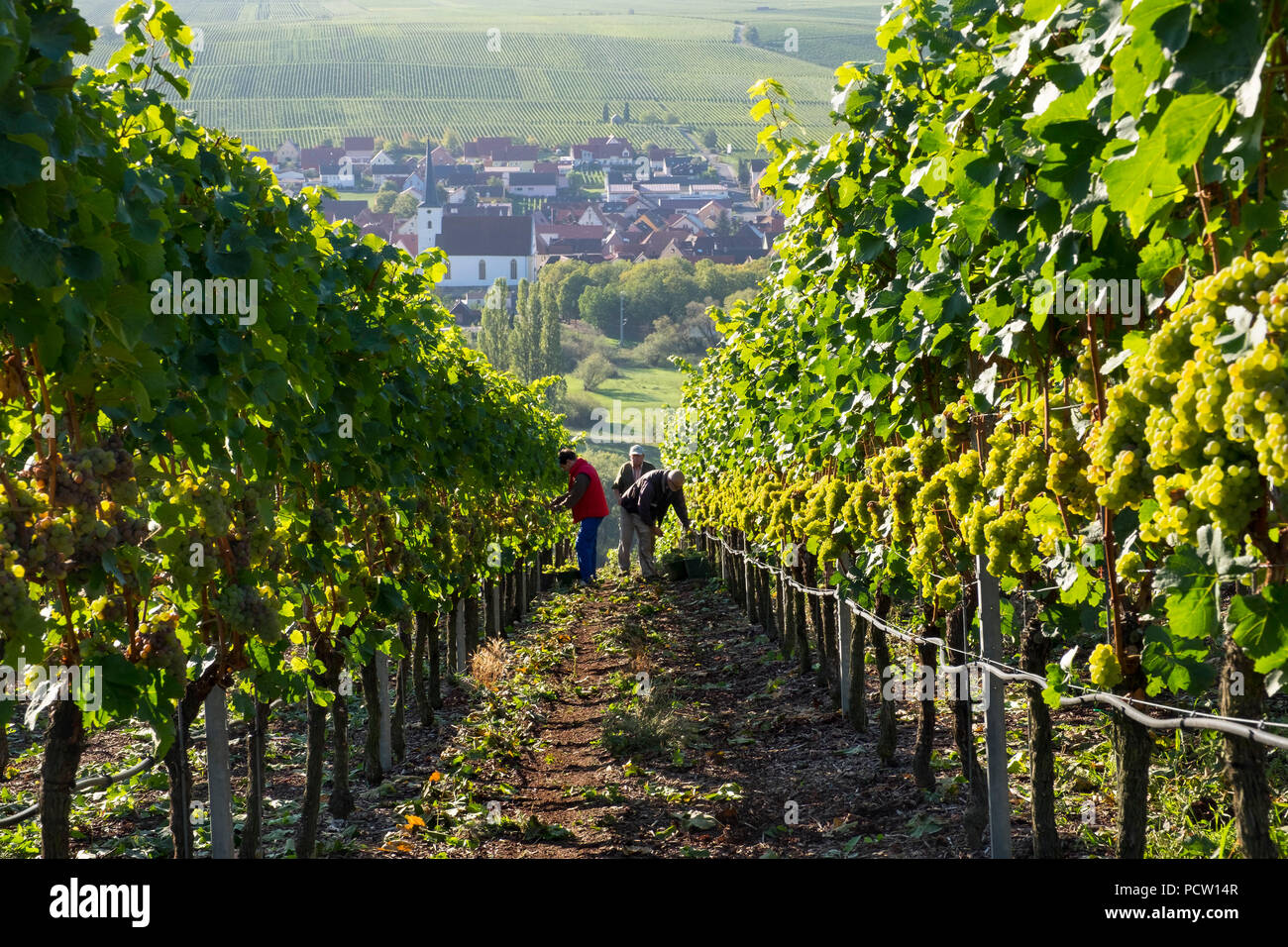 Nordheim am main hi-res stock photography and images - Alamy