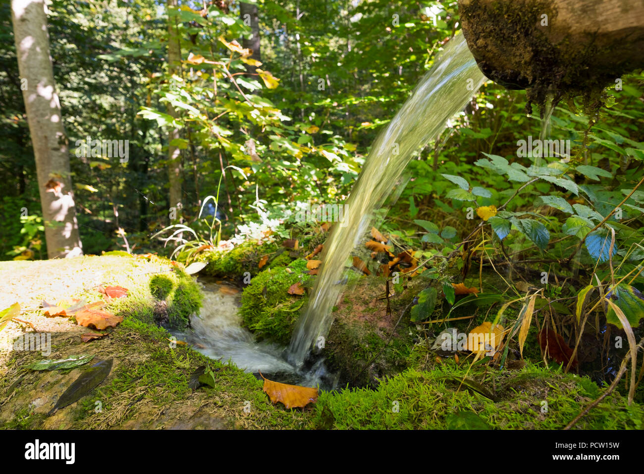 Fountain at the pilgrimage chapel Maria Brunn in Ponlach, municipality ...