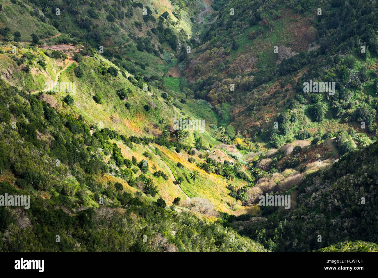 Ingenio hi-res stock photography and images - Alamy