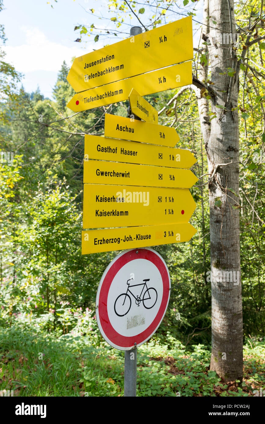 Tree signboard hi-res stock photography and images - Alamy