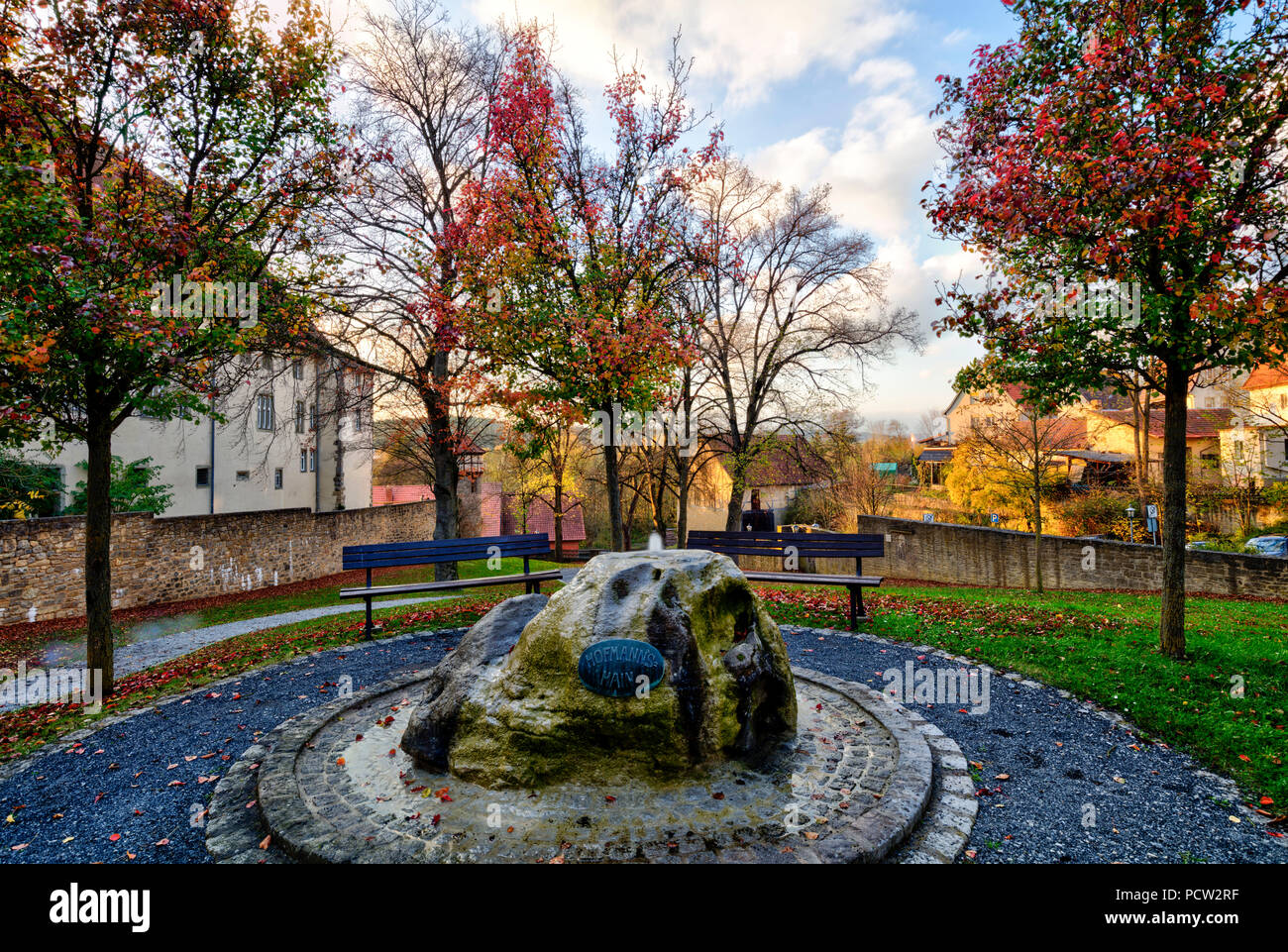 Hofmanns hain hi-res stock photography and images - Alamy