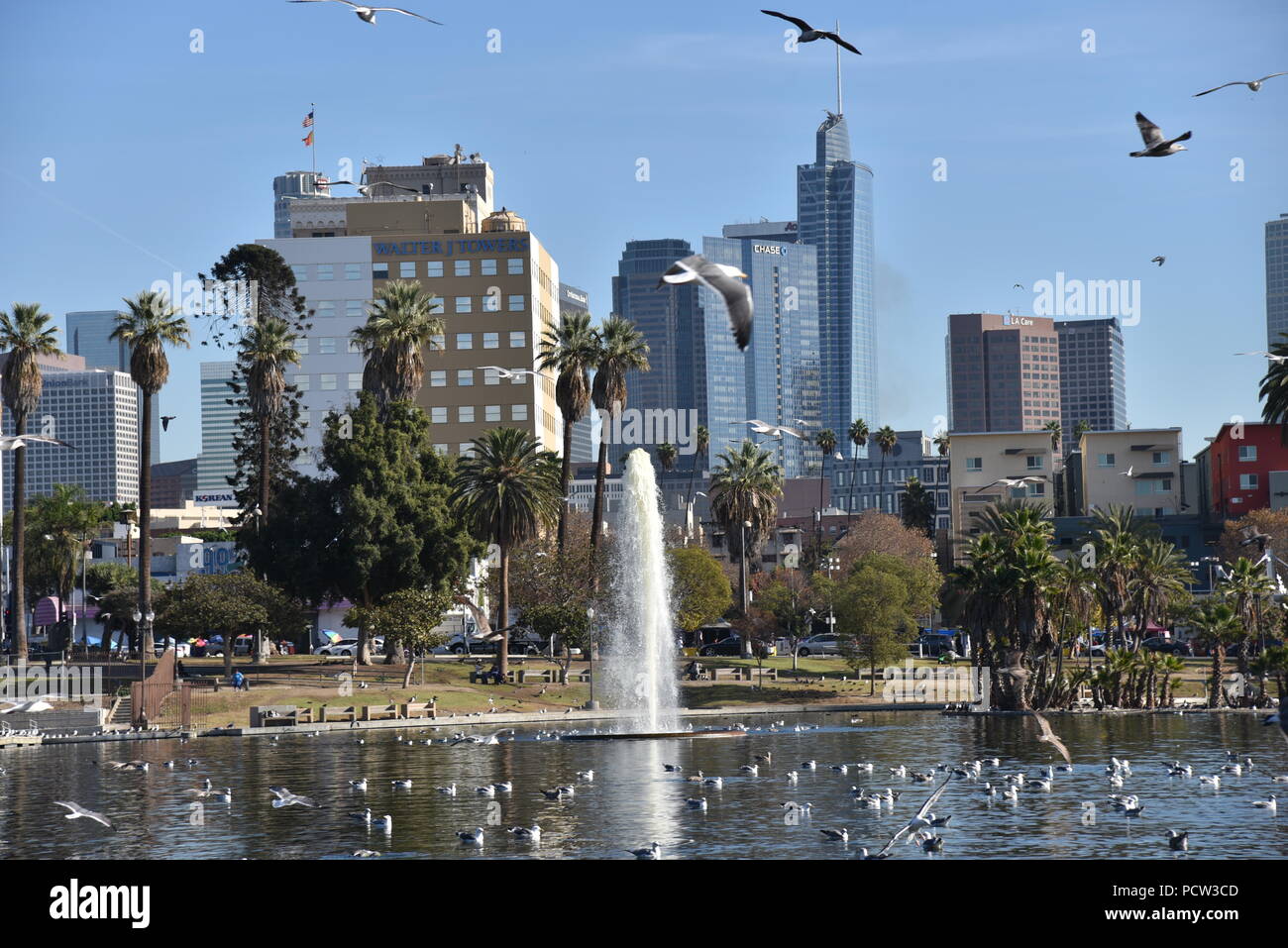 Macarthur park hi-res stock photography and images - Alamy
