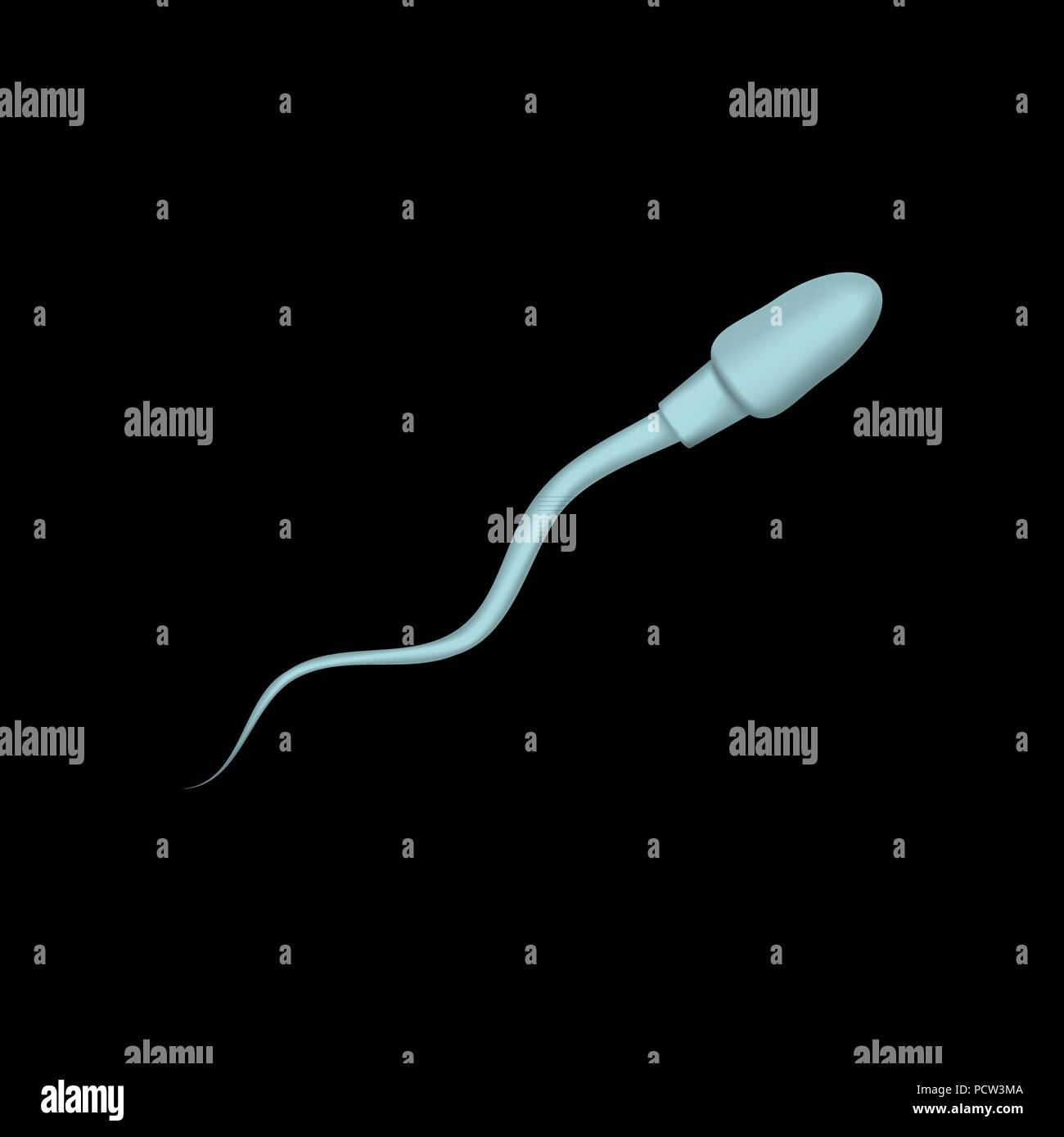 Human sperm, illustration Stock Photo - Alamy