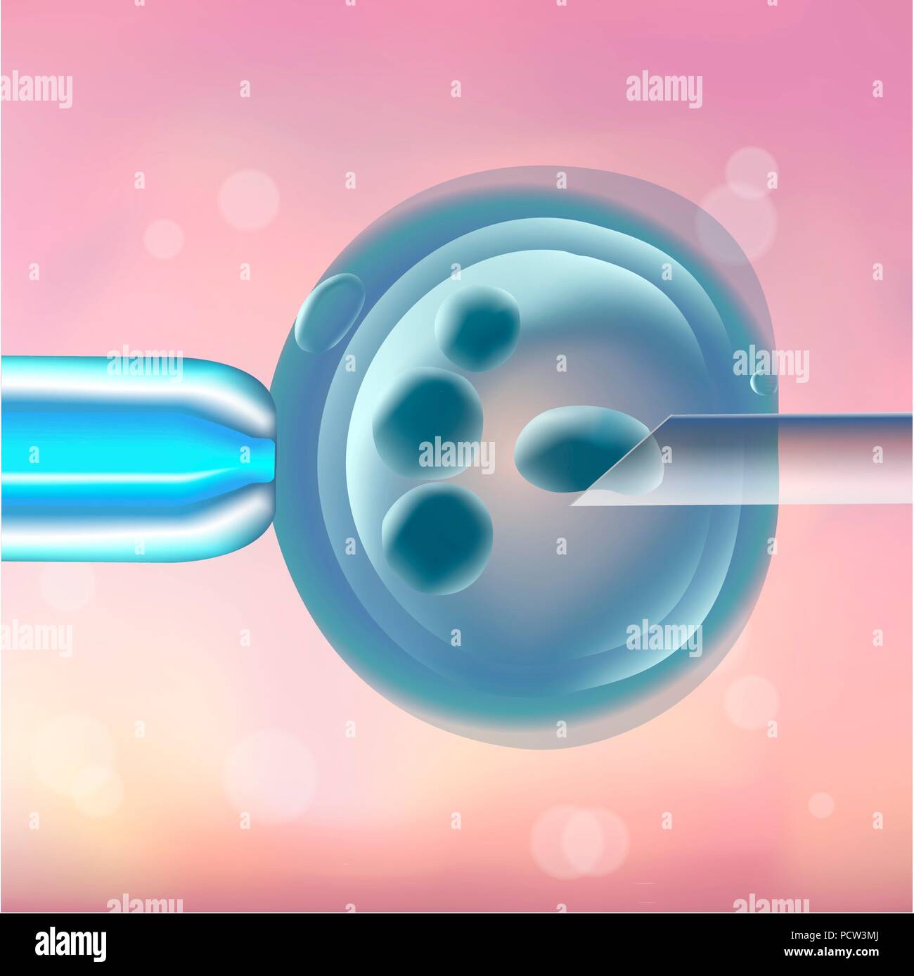 Egg selection in ivf hi-res stock photography and images - Alamy