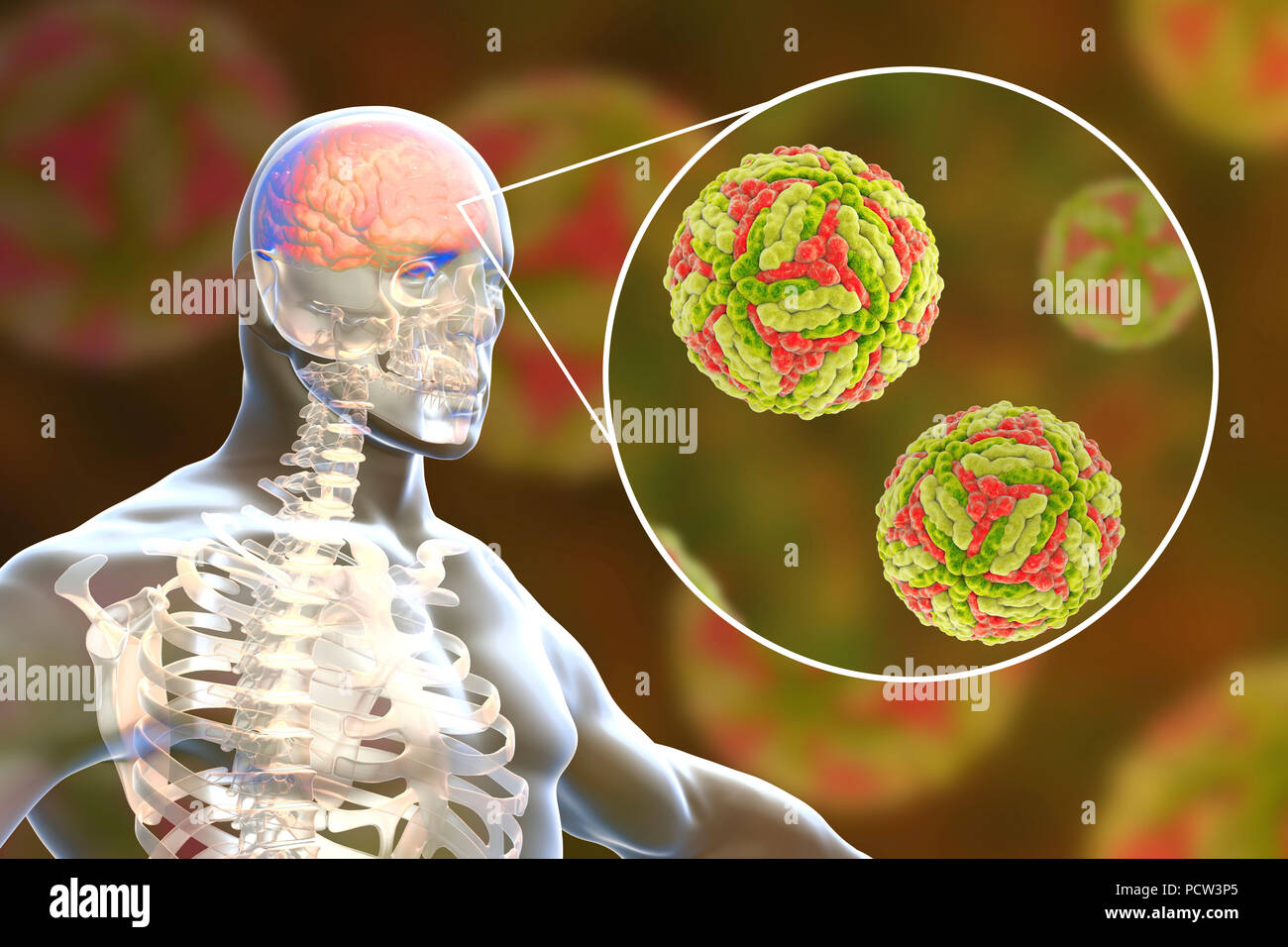 Je sp hi-res stock photography and images - Alamy