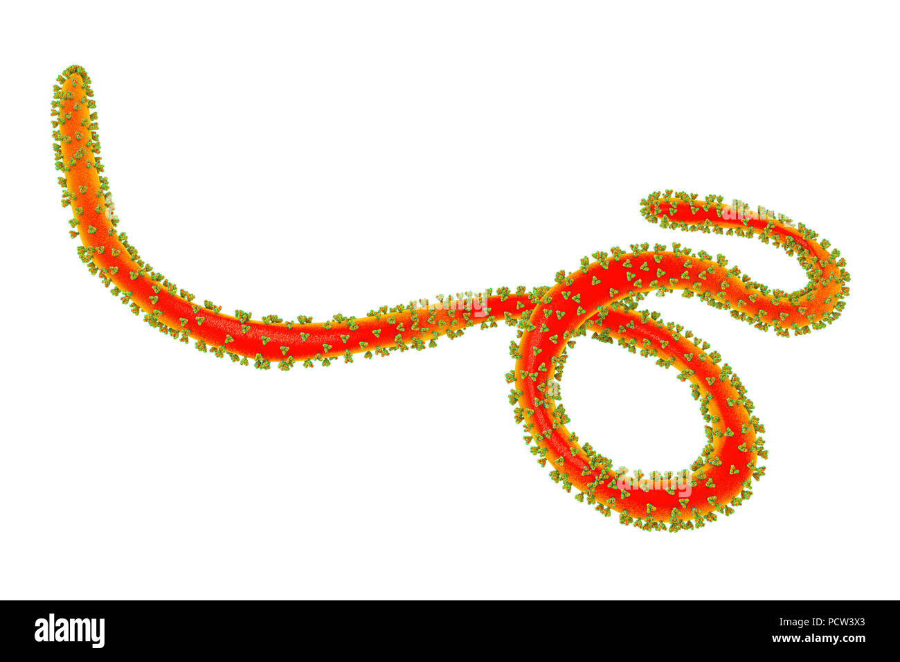 Virus particles on white Cut Out Stock Images & Pictures - Alamy