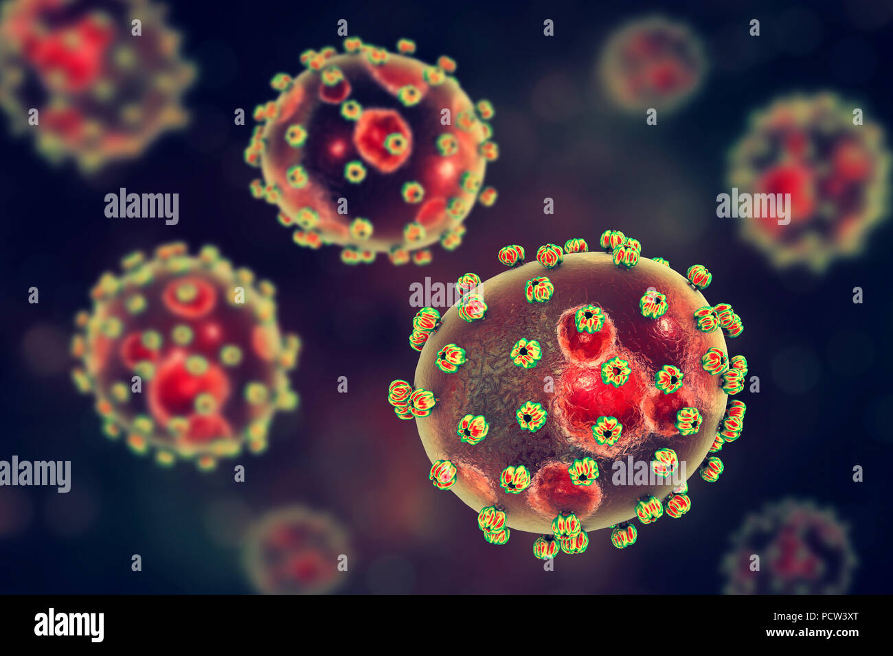 Lassa virus particles, illustration. Each virus consists of an RNA ...