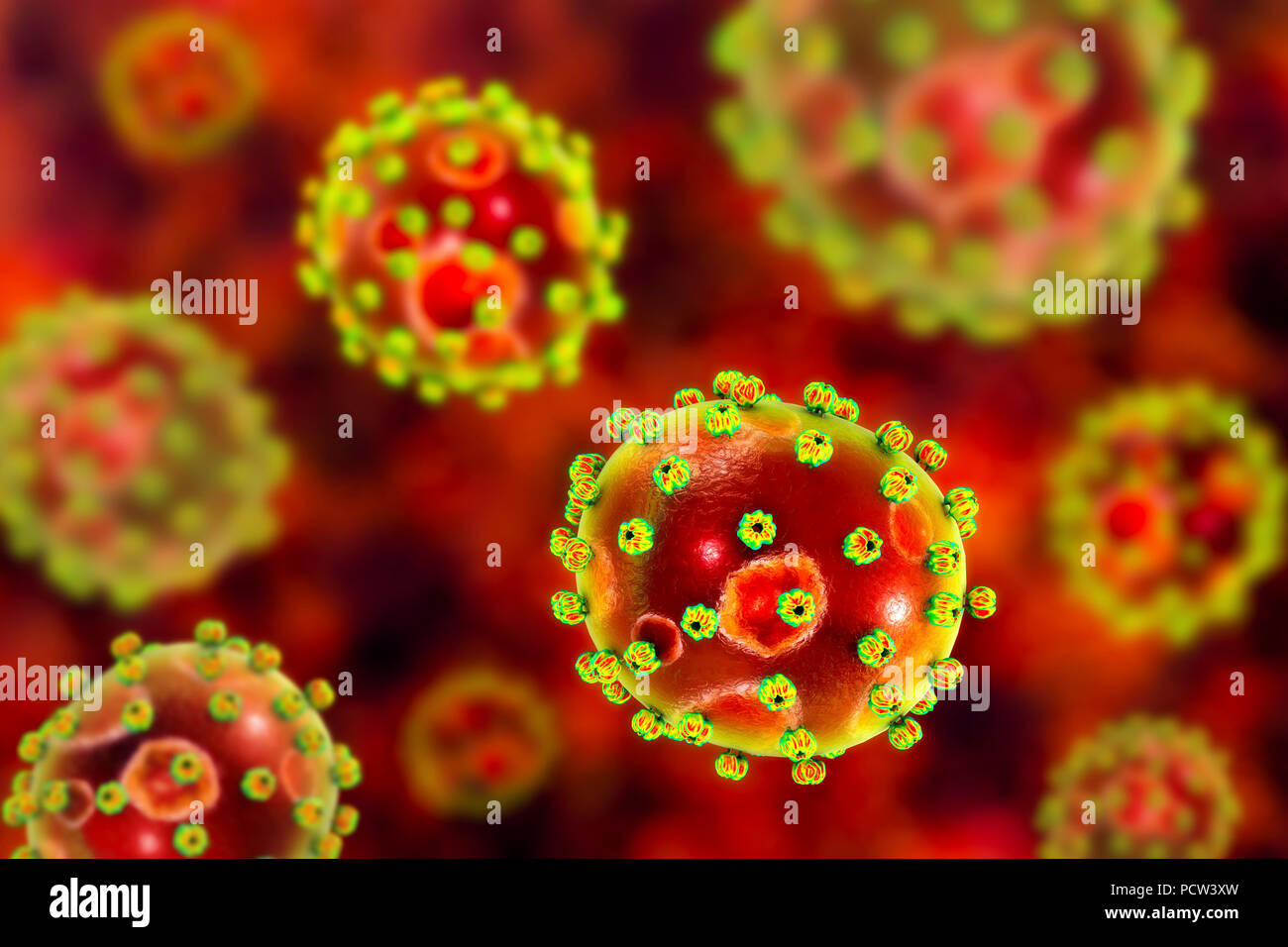 Lassa virus particles, illustration. Each virus consists of an RNA ...