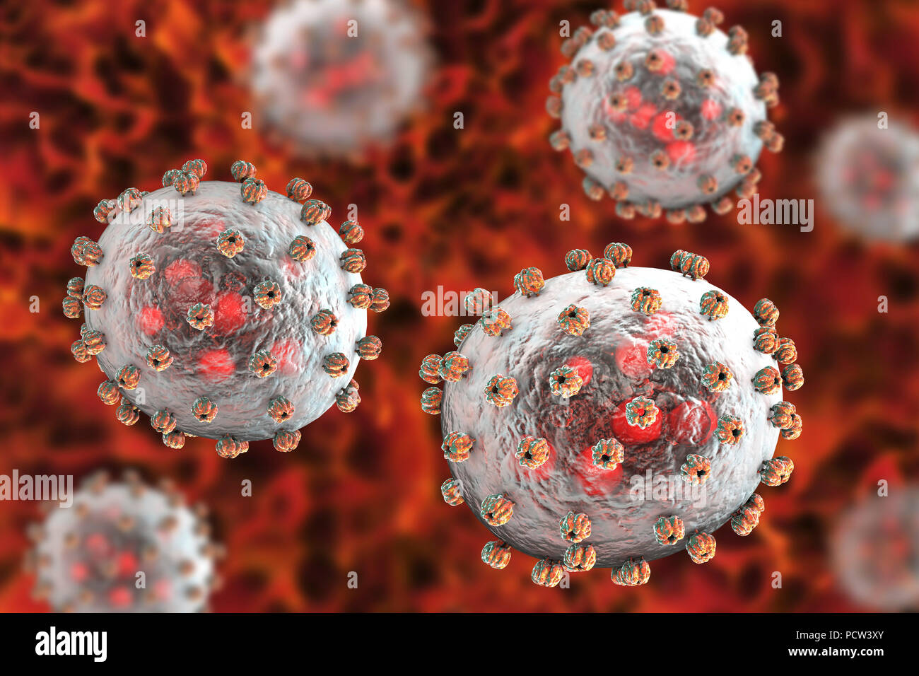 Lassa virus particles, illustration. Each virus consists of an RNA ...