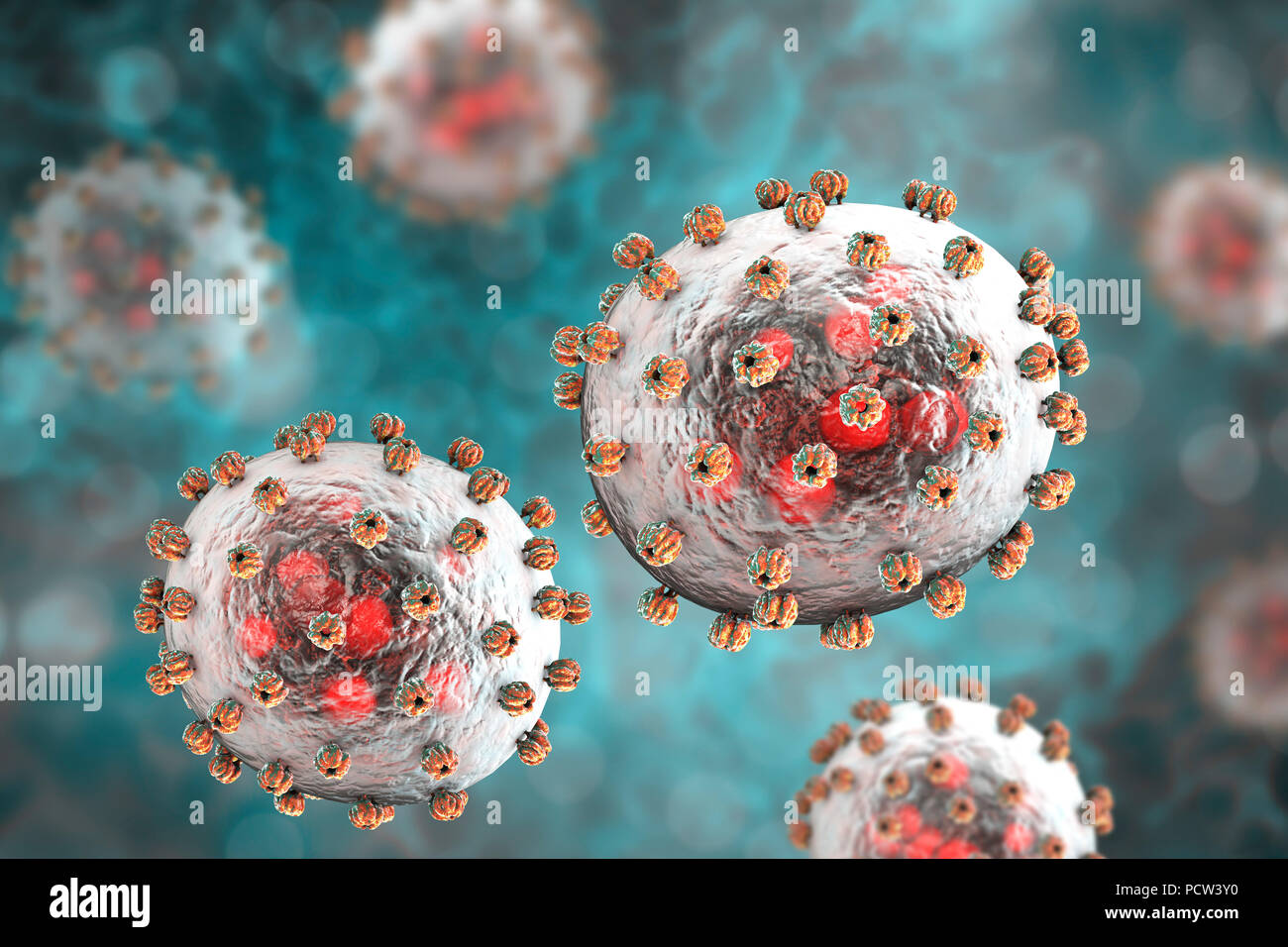 Lassa virus particles, illustration. Each virus consists of an RNA ...