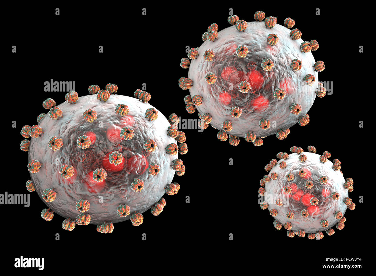 Lassa virus particles, illustration. Each virus consists of an RNA ...