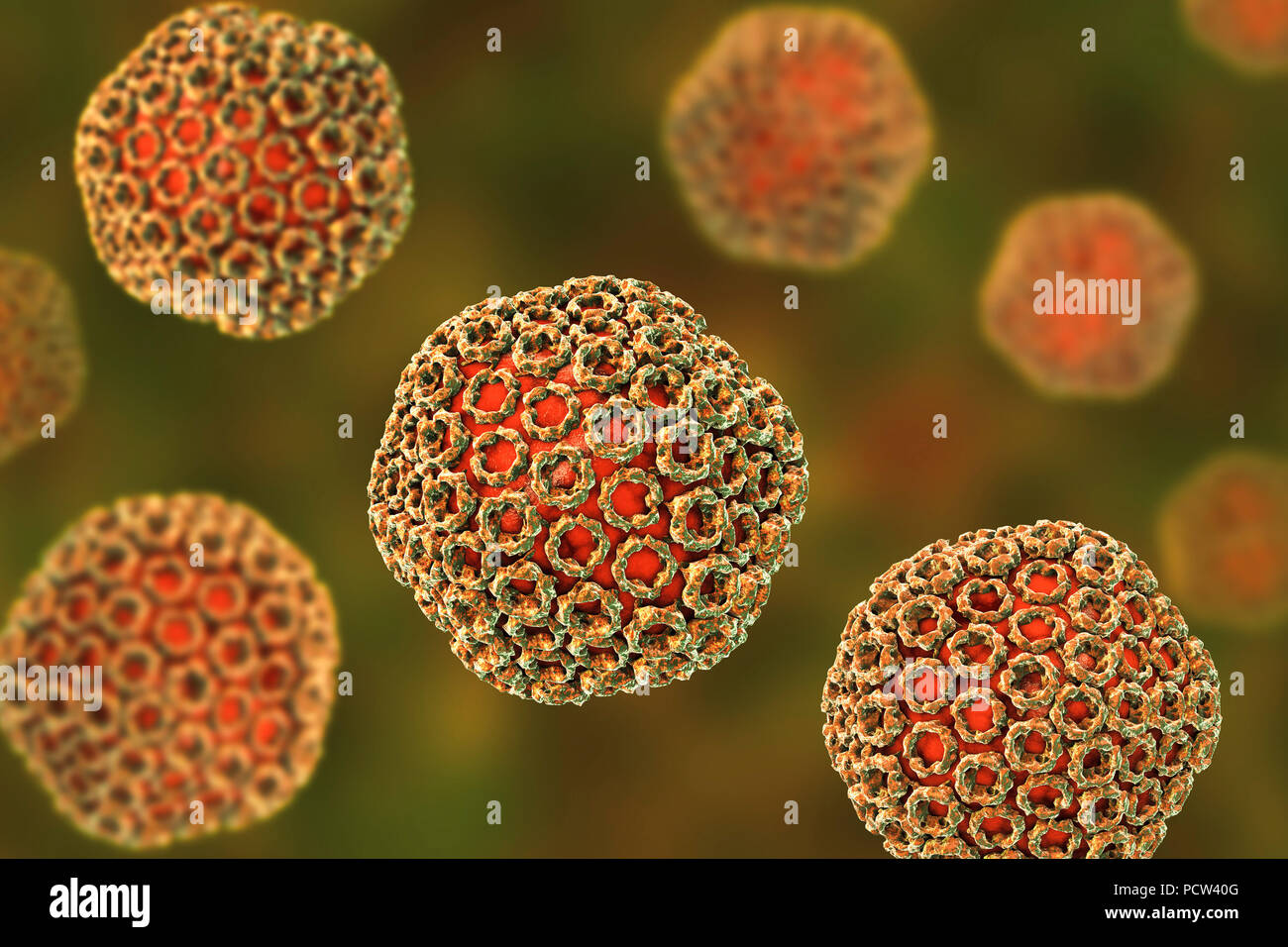 Rift Valley fever virus particles, computer illustration. This virus ...