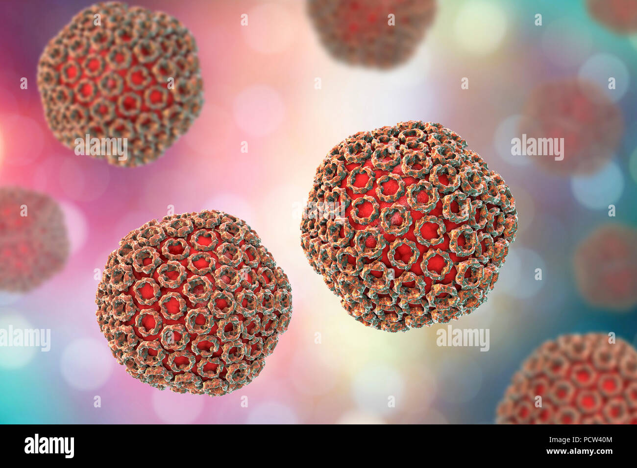 Rift Valley fever virus particles, computer illustration. This virus ...