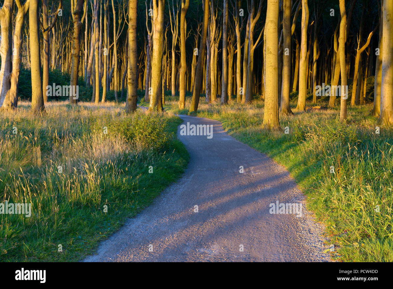 Winding footpath hi-res stock photography and images - Alamy