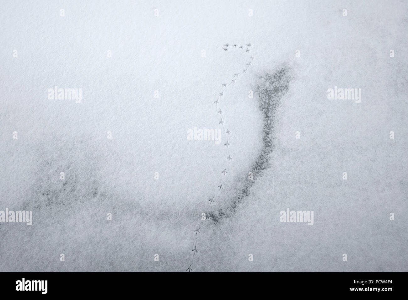 Stockholm water in winter hi-res stock photography and images - Alamy