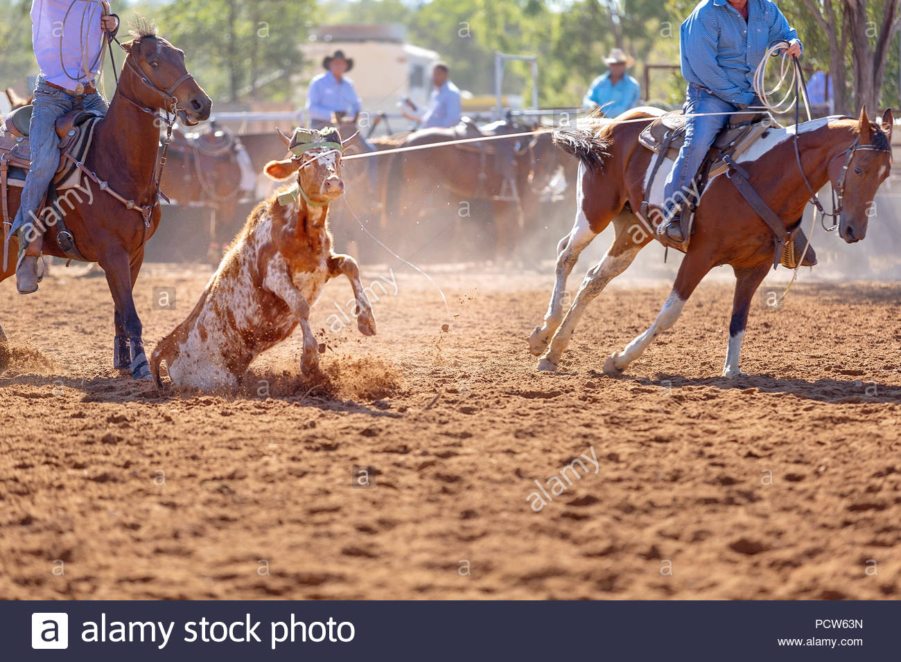 Team Roping Stock Photos & Team Roping Stock Images - Alamy