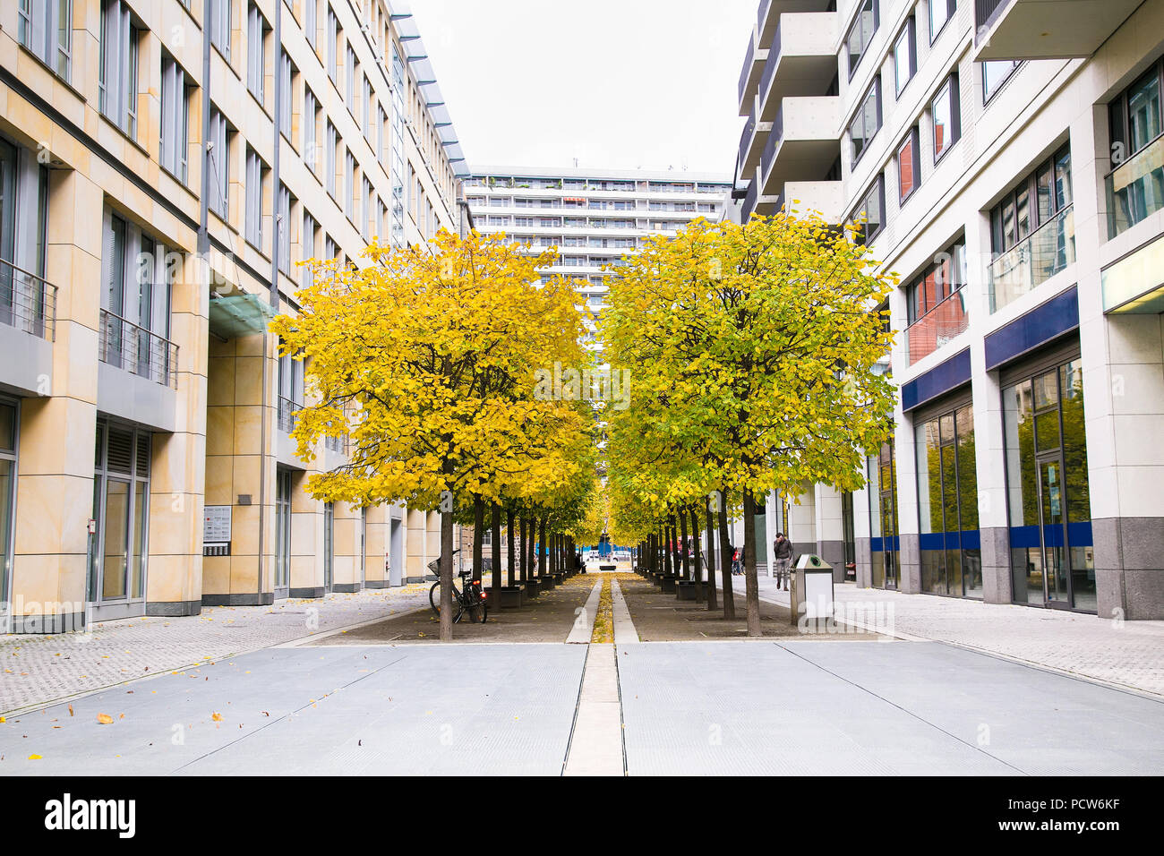 Modern architecture with Trees between buildings in Berlin, Germany ...