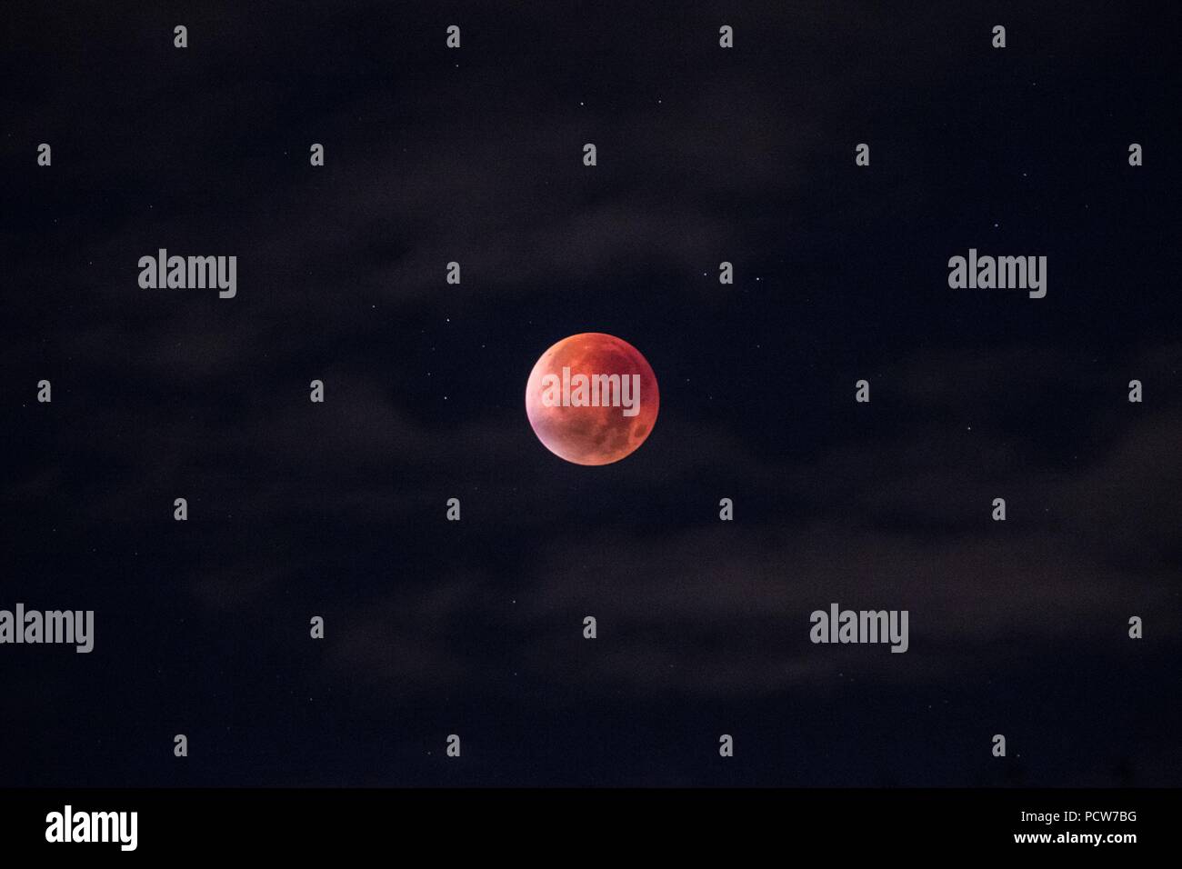 Cannabis, also known as marijuana among other names, is a psychoactive ...