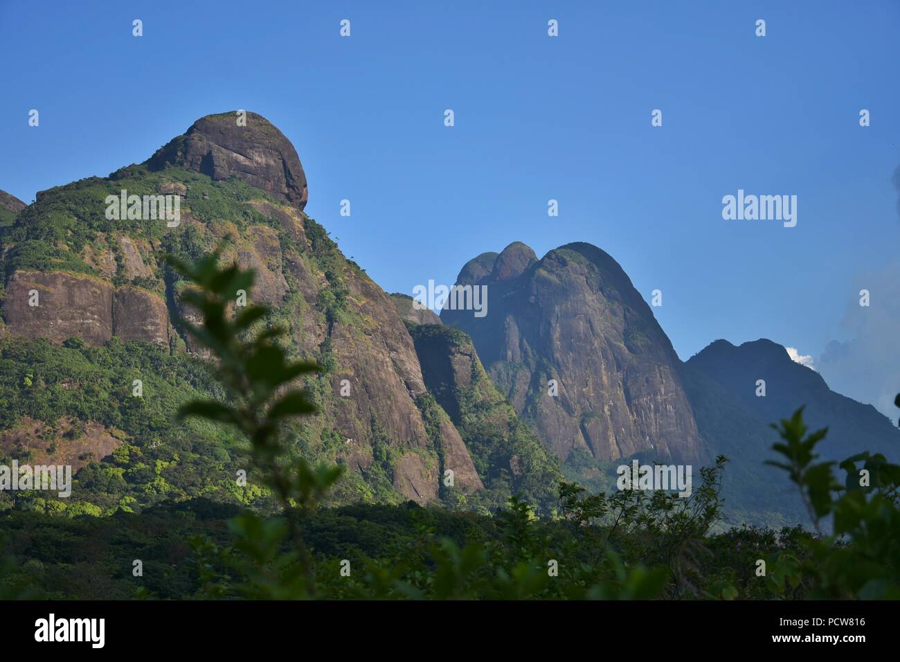 Agasthya hi-res stock photography and images - Alamy