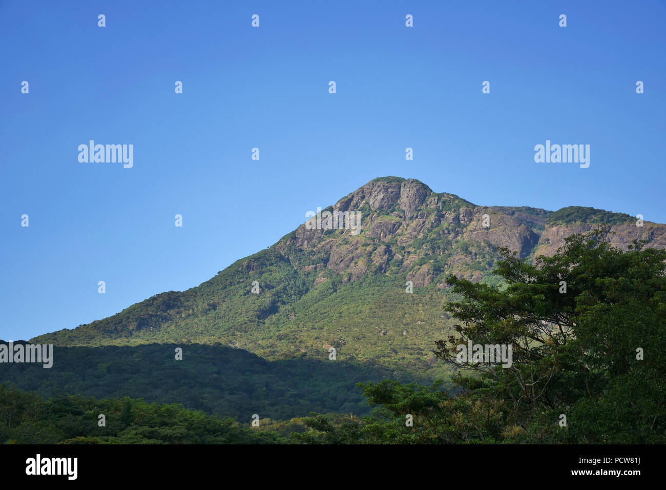 Agasthya hills india hi-res stock photography and images - Alamy