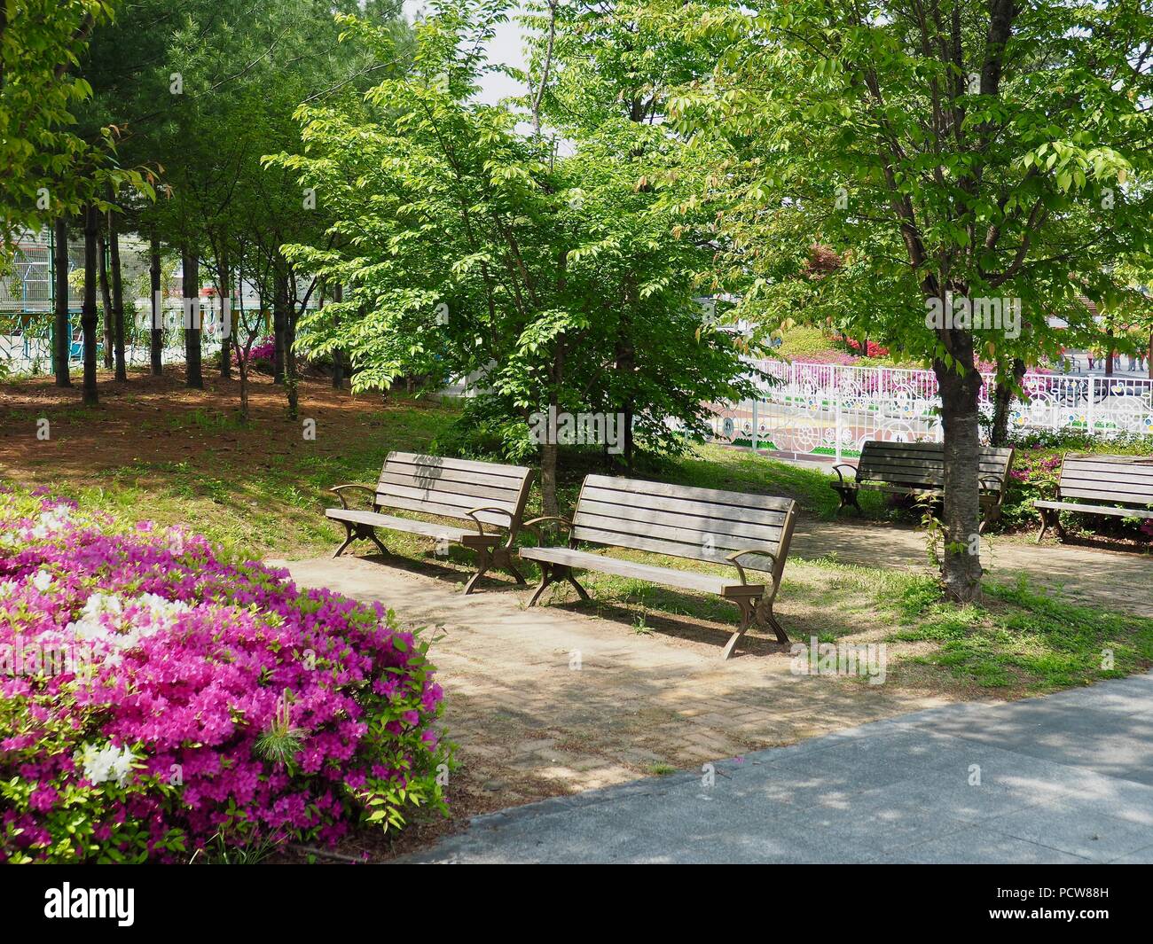 Cheongju city park bench in Korea Stock Photo - Alamy