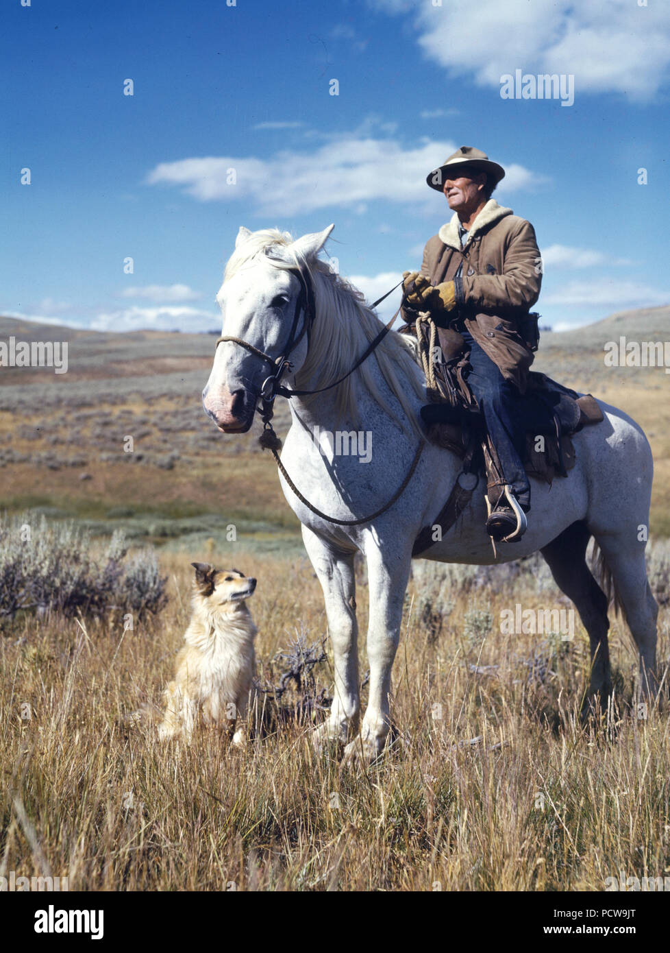 Montana sheep rancher 1940s hi-res stock photography and images - Alamy