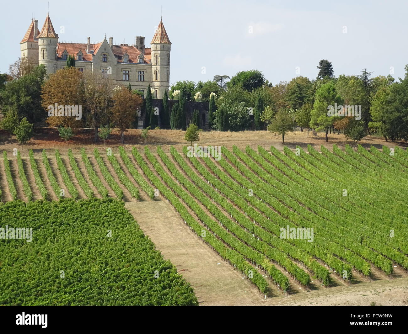 Old stone and brick medieval castle surrounded by its vineyard and park ...