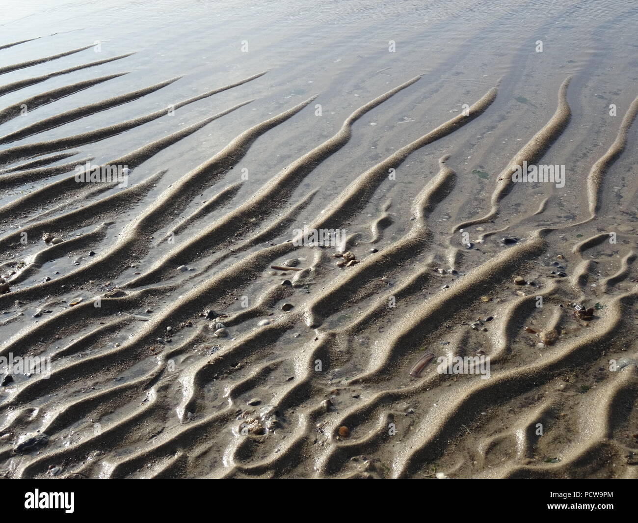 Bumps pattern hi-res stock photography and images - Alamy
