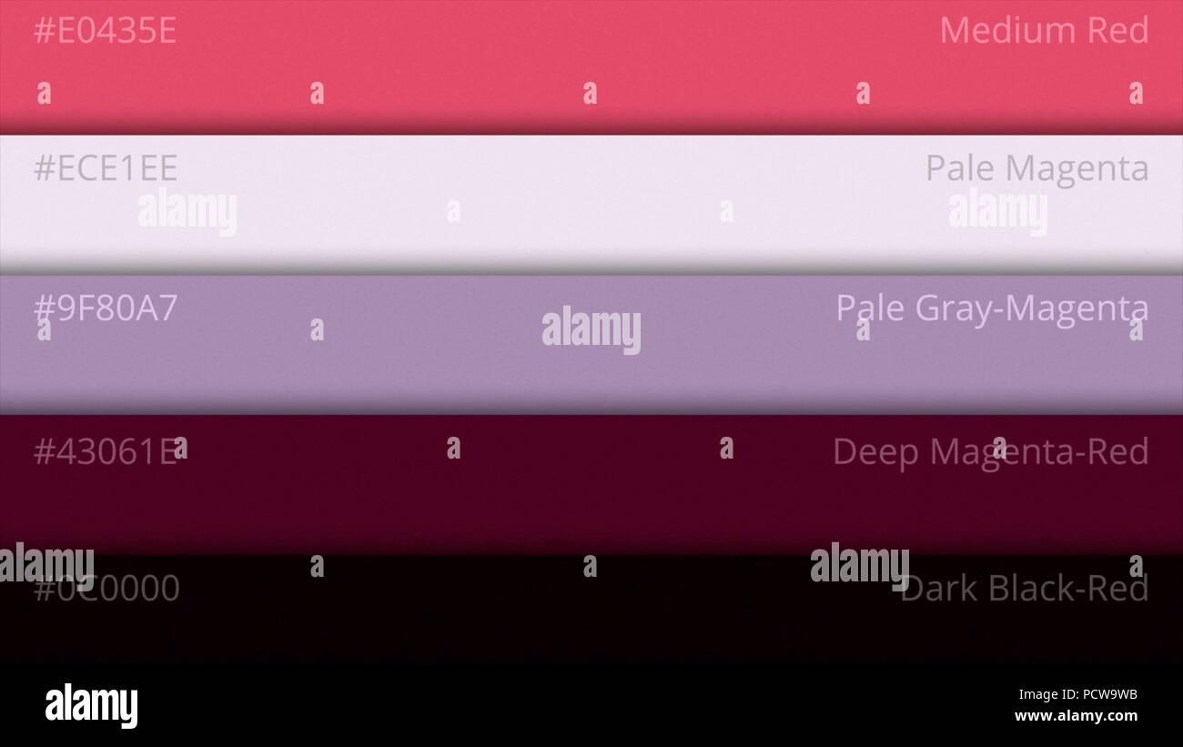 Color pallette, cosmic colors. Color palette with various samples ...