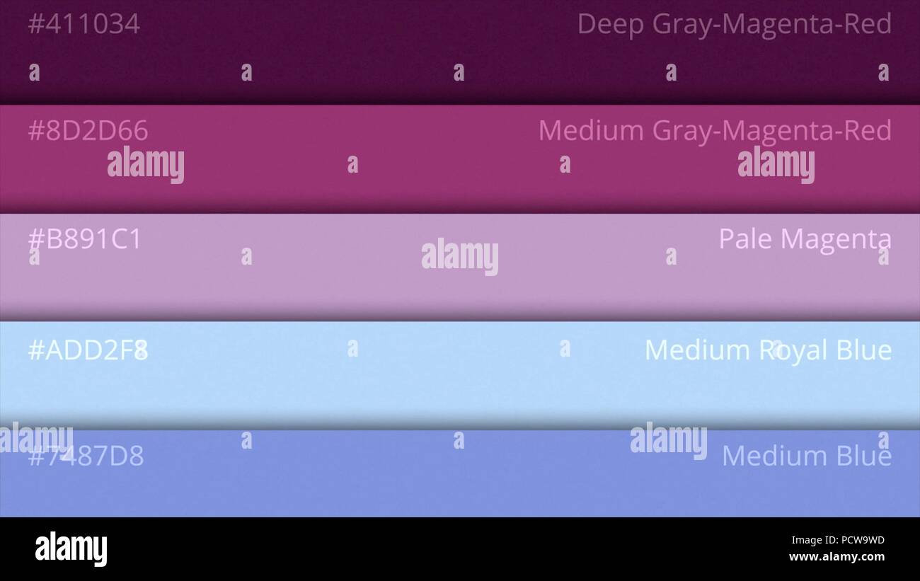 Color pallette, cosmic colors. Color palette with various samples ...