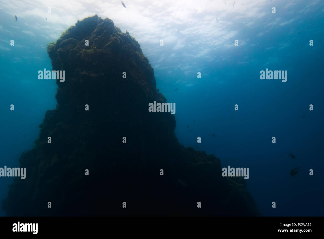 Underwater rocky bottom Stock Photo - Alamy