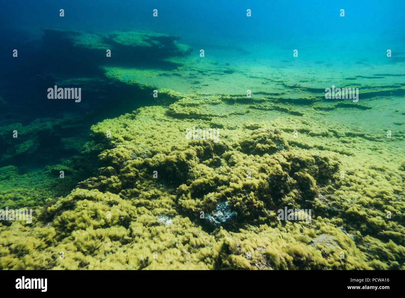 Underwater rocky bottom Stock Photo - Alamy