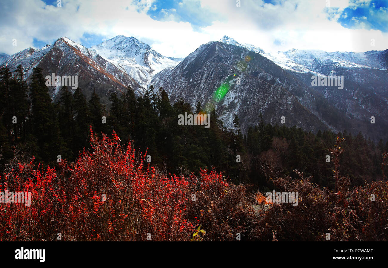 Himalayan mountains hi-res stock photography and images - Alamy