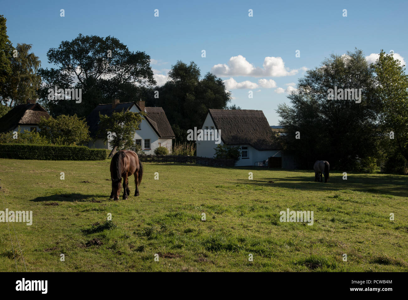 Grieben is the oldest and smallest village on Hiddensee island in the ...