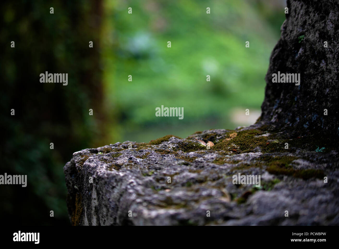 Concrete step in forest Stock Photo - Alamy