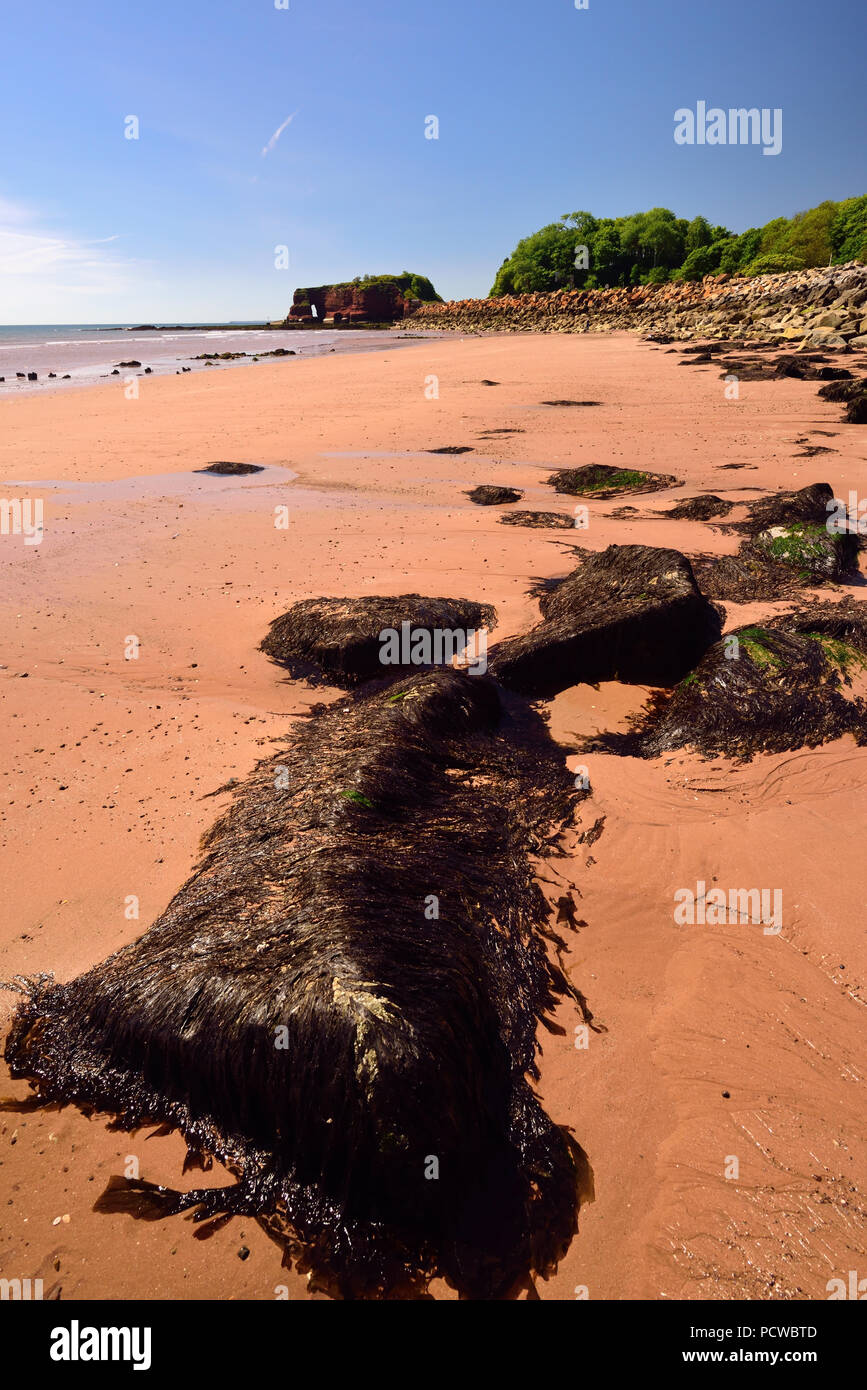 Dawlish Warren beach near Langstone Rock, showing rock armour along the ...
