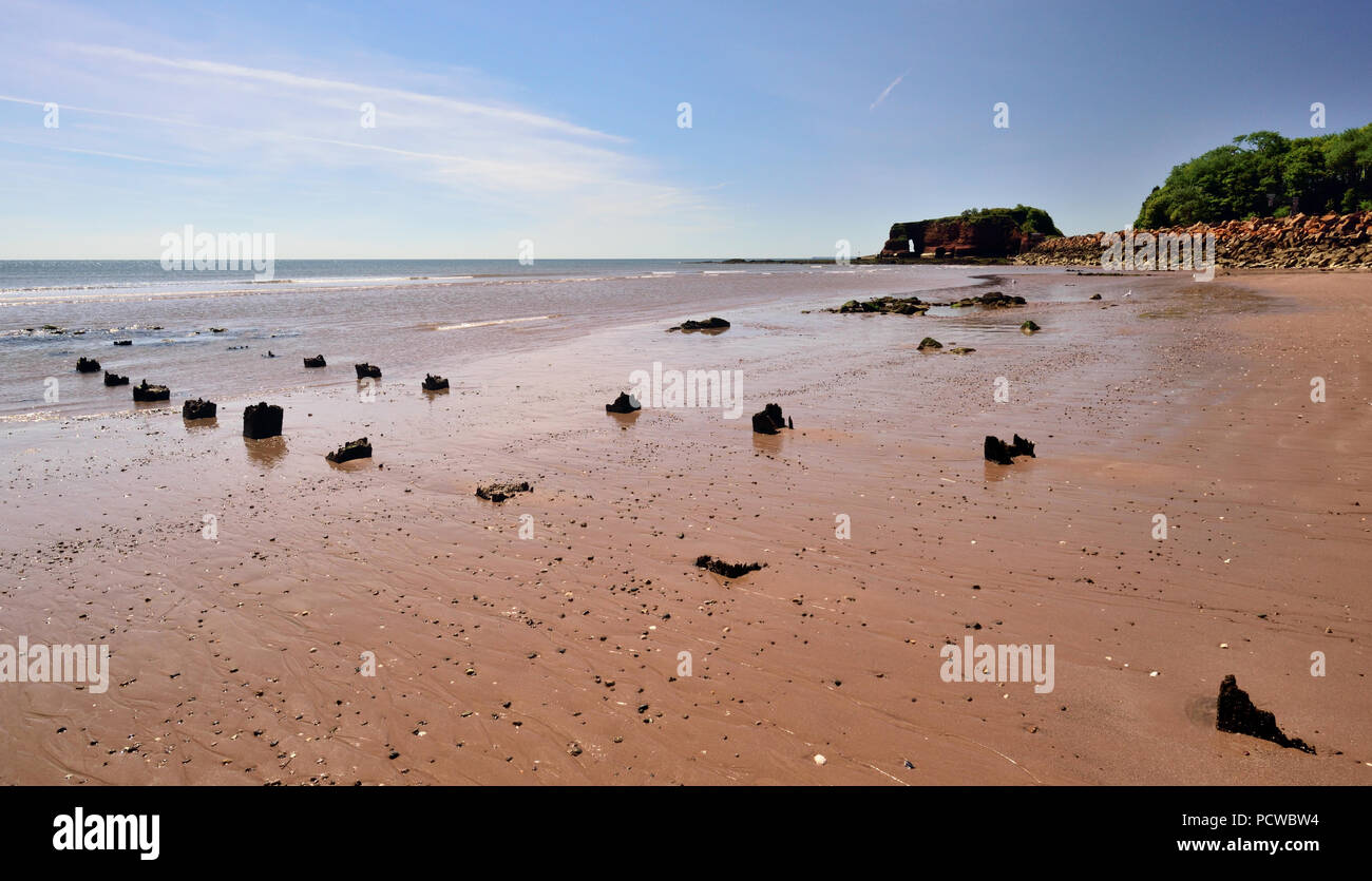 Rock groynes hi-res stock photography and images - Alamy