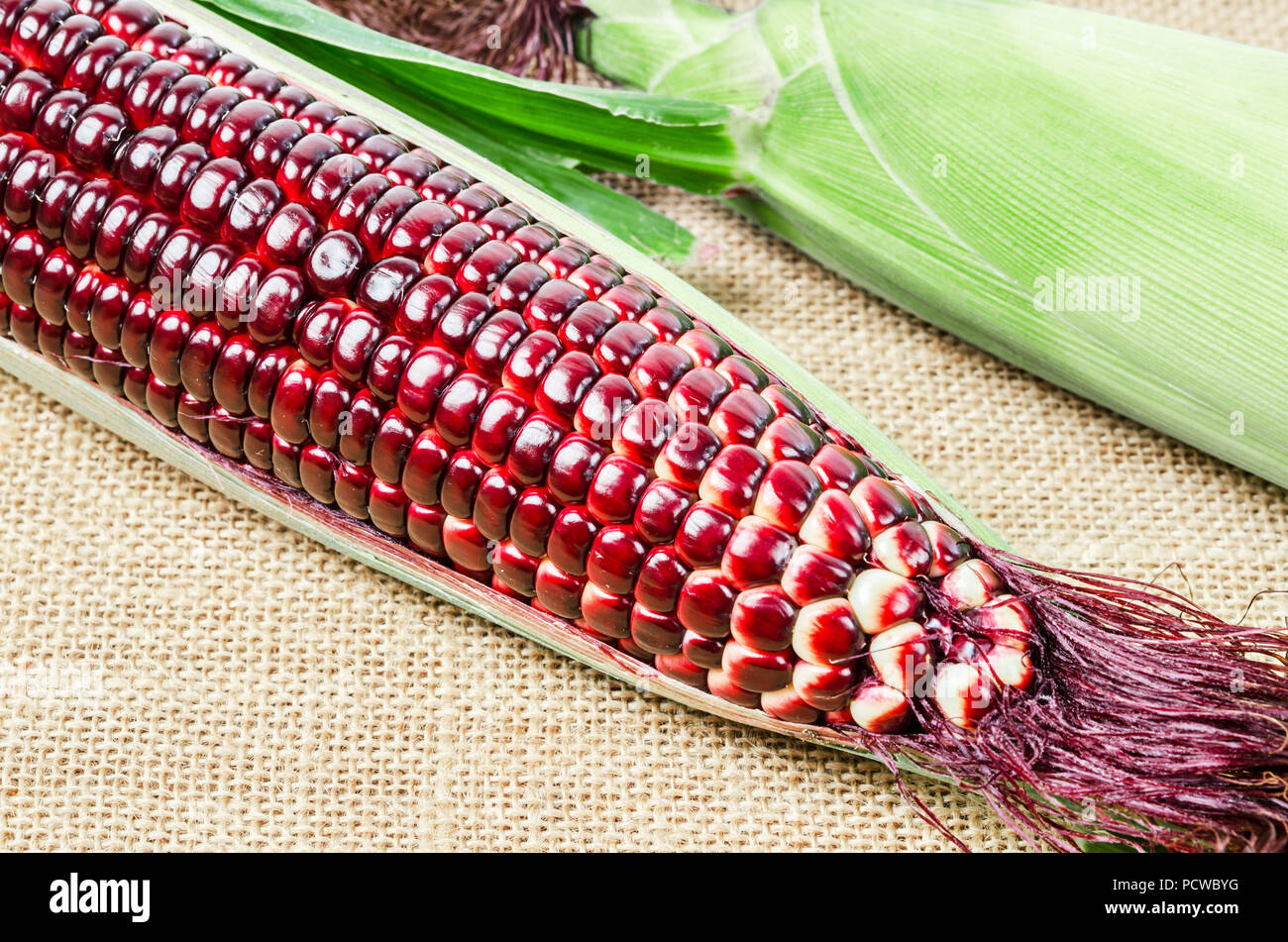 Japanese sweet corn hi-res stock photography and images - Alamy
