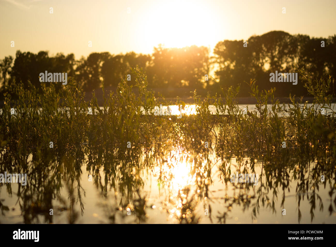 river landscape i a warm sunlight. sunset Stock Photo - Alamy