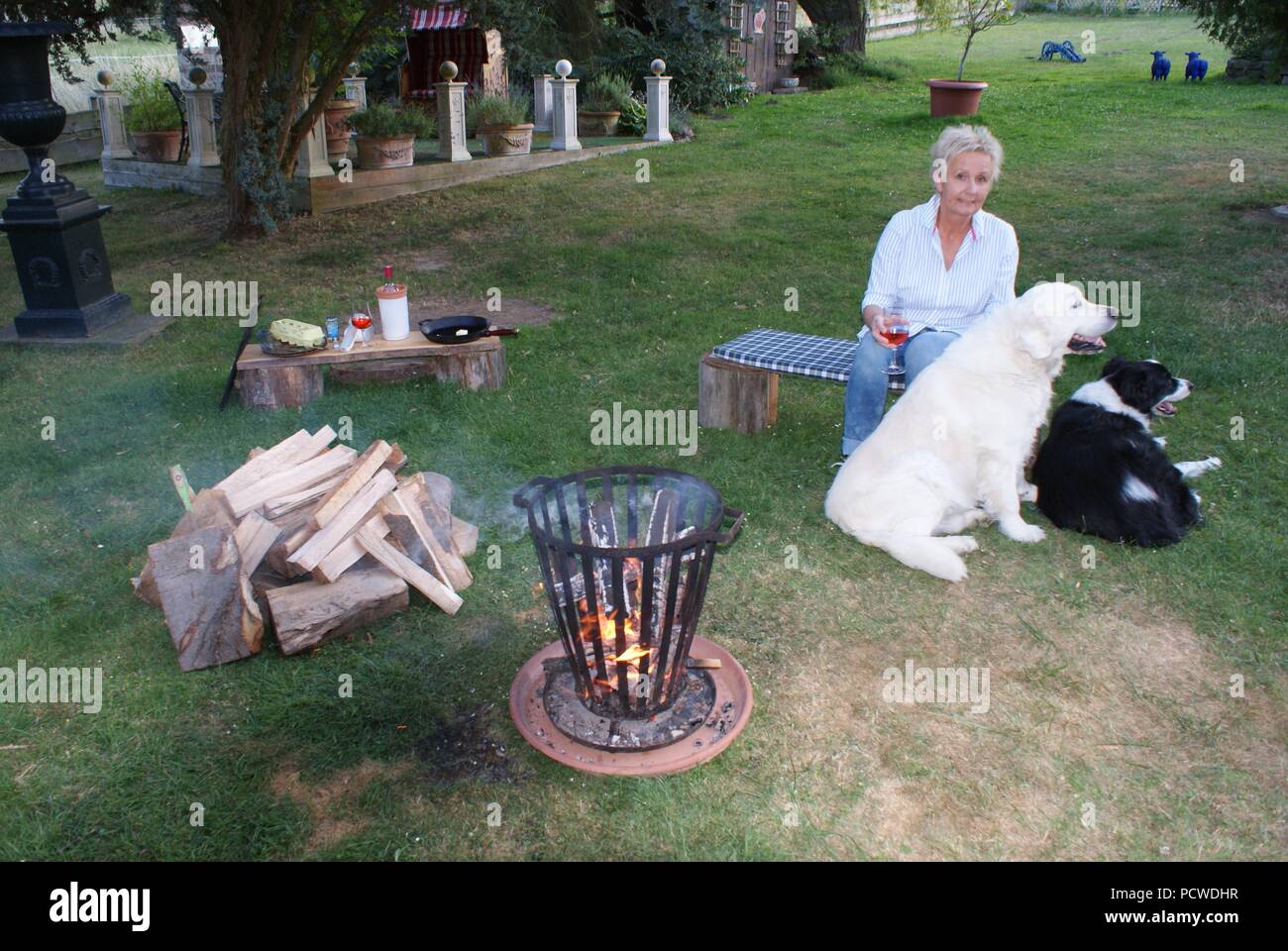 Campfire animals hi-res stock photography and images - Alamy